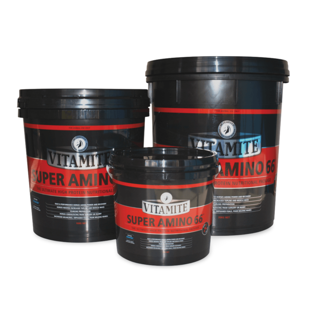Buy Mitavite Vitamite Super Amino 66 Online | Better Prices At Pet Circle