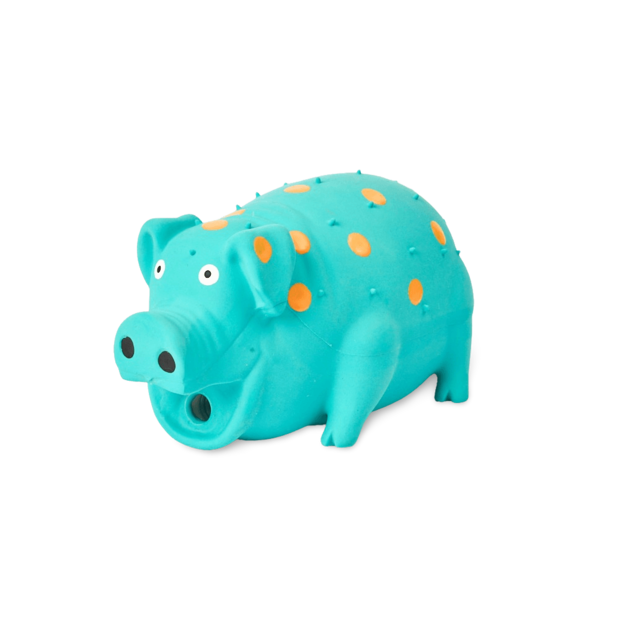 Buy Multipet Latex Pig Blue Dog Toy Online | Better Prices At Pet Circle