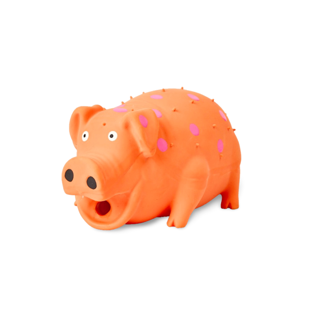 Buy Multipet Latex Pig Orange Dog Toy Online | Better Prices At Pet Circle