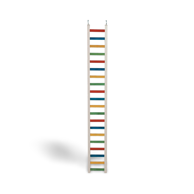 Buy Paradise Parrot Ladder Online | Better Prices At Pet Circle