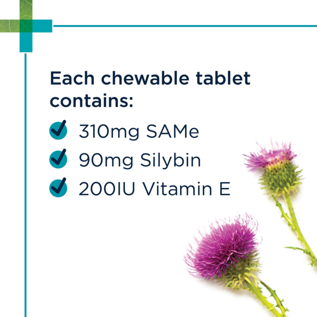 Buy Paw Hepatoadvanced Medium And Large Dog Online | Better Prices At ...