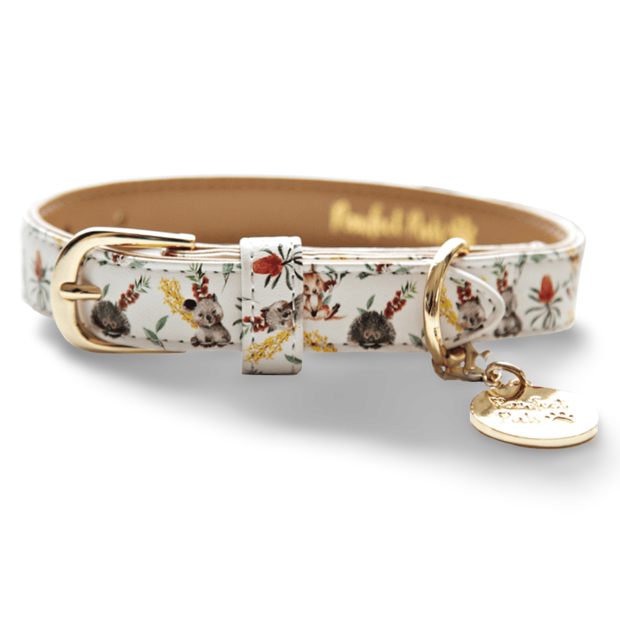 Buy Pawfect Pals Australian Beauties Collar Online | Better Prices At ...