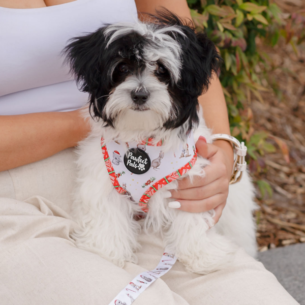 Buy Pawfect Pals Christmas Reversible Harness Online | Better Prices At ...