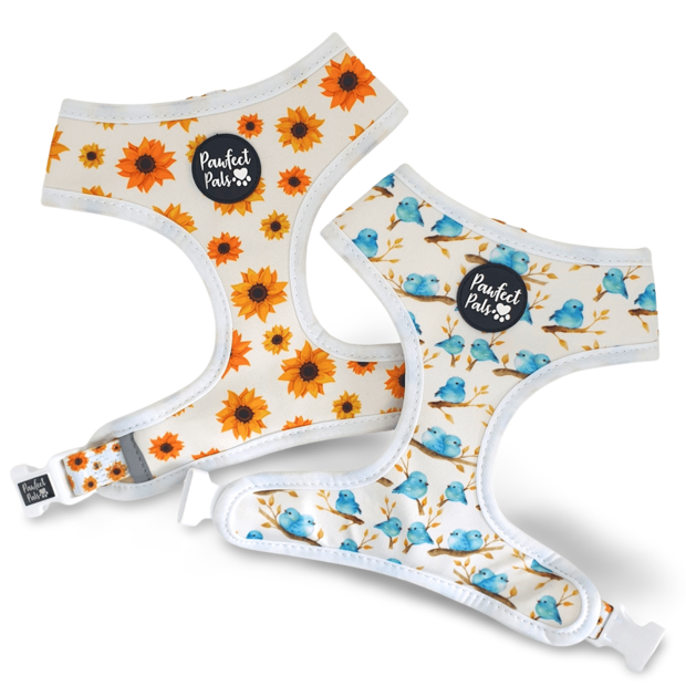 Buy Pawfect Pals Sunshine On My Mind Reversible Harness Online | Better ...