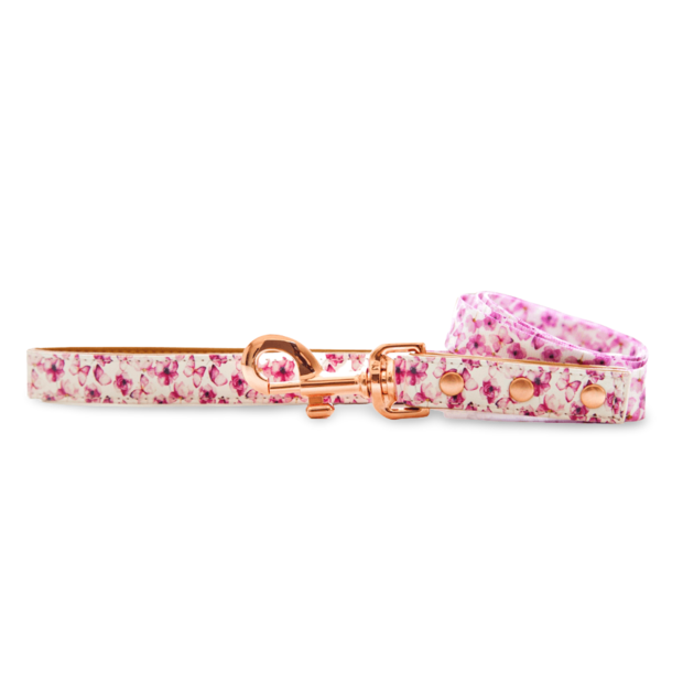 Buy Pawfect Pals You Give Me Butterflies Lead Online | Better Prices At ...