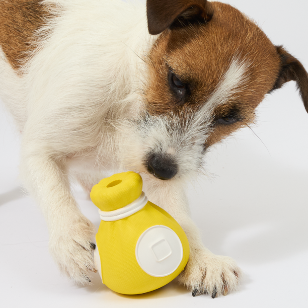 Buy Paws For Life Natural Rubber Money Bag Toy Online | Better Prices ...