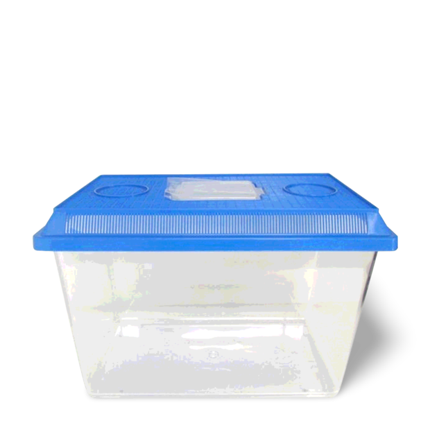 Stimson's and Children's Pythons | Pet Better with Pet Circle