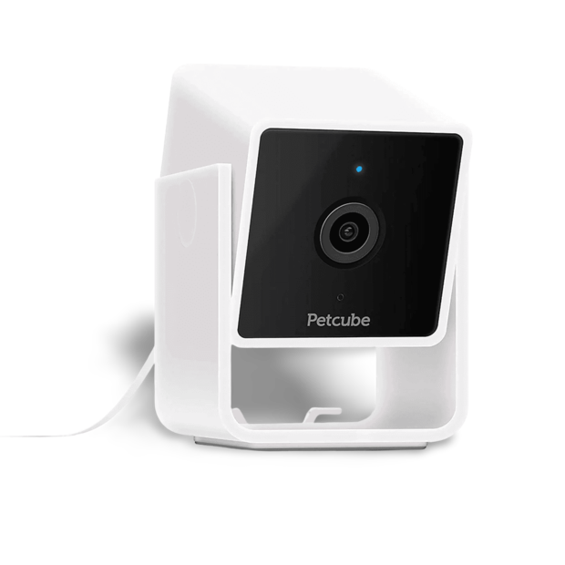 Buy Petcube Pet Monitoring Camera White Online | Better Prices At Pet ...