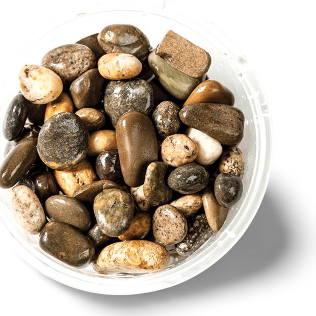Buy Pisces Natural Products Turtle And Axolotl Online | Better Prices ...