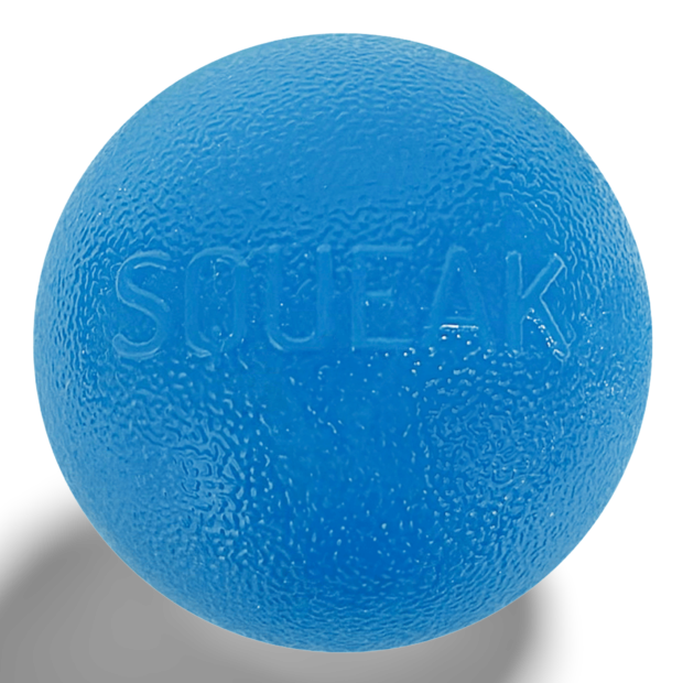 Buy Planet Dog Squeak Ball Dog Treat Dispensing Toy Blue Online ...