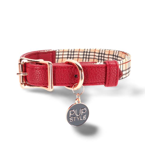 Buy Pupstyle Houndbury City Collar Online | Better Prices At Pet Circle