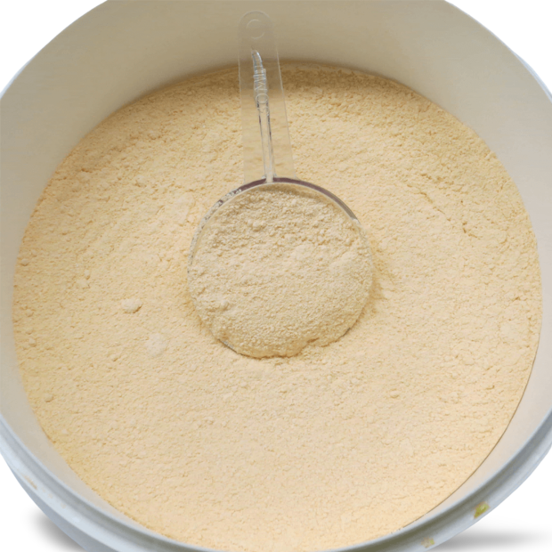 Buy Ranvet Salkavite Electrolyte Replacer With Vitamin B Online ...