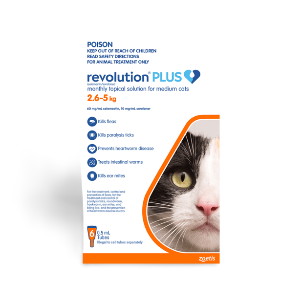 Buy Revolution Plus Orange Medium Cat Online | Better Prices At Pet Circle