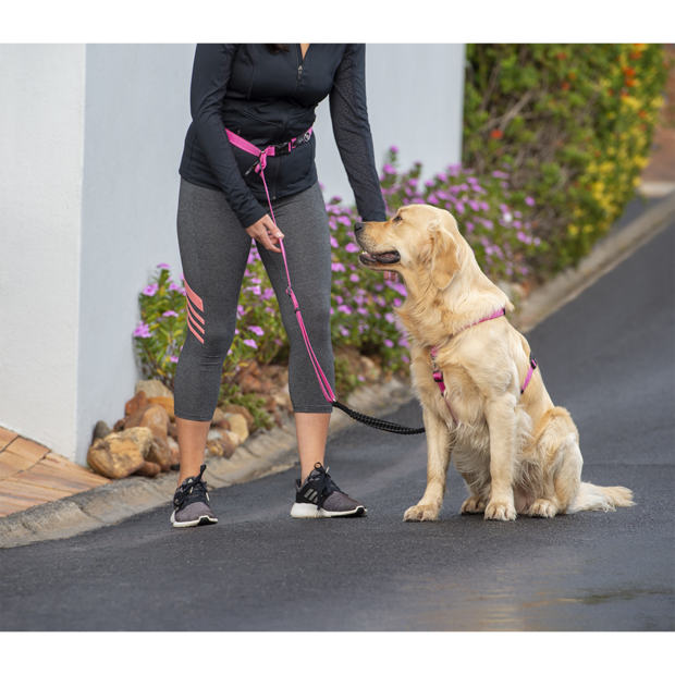 Buy Rogz Hands Free Lead Black Online | Better Prices At Pet Circle