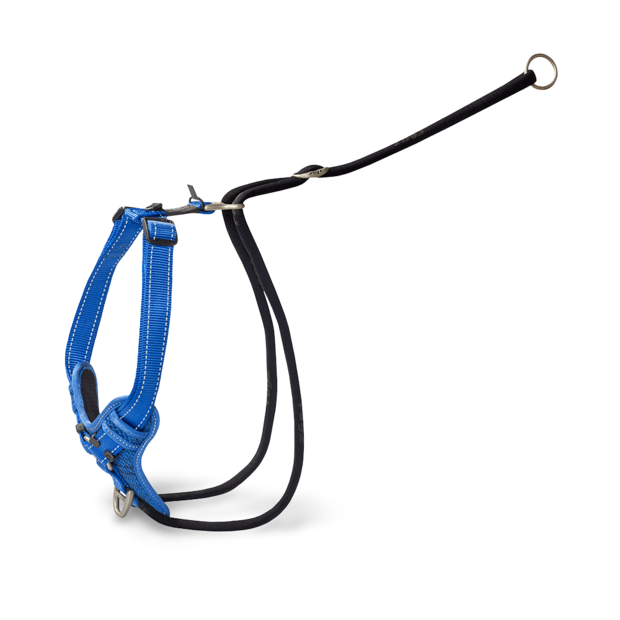 Buy Rogz Harness Control Stop Pull Blue Online | Better Prices At Pet ...