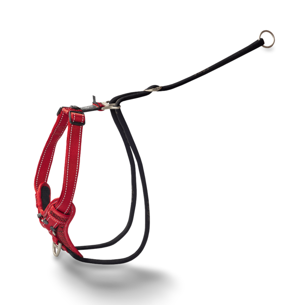 Buy Rogz Harness Control Stop Pull Red Online | Better Prices At Pet Circle