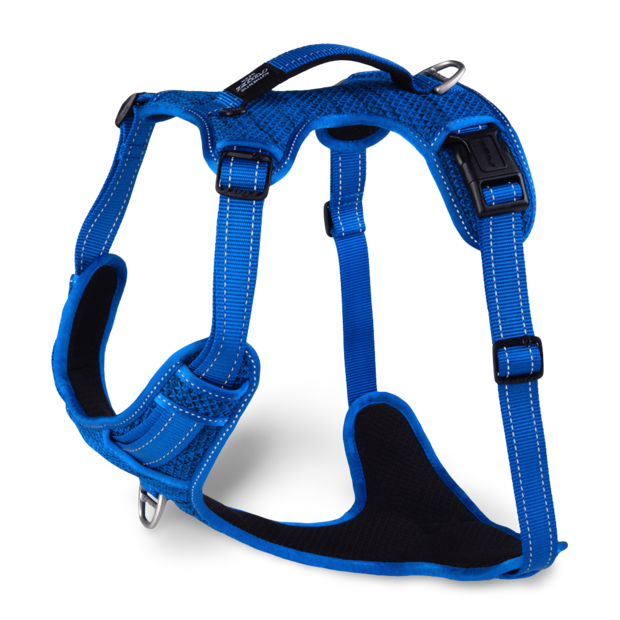 Buy Rogz Specialty Explore Harness Blue Online | Better Prices At Pet ...