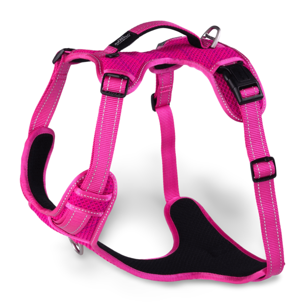 Buy Rogz Specialty Explore Harness Pink Online | Better Prices At Pet ...