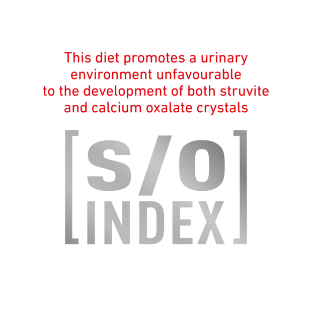 Buy Royal Canin Veterinary Diabetic Wet Cat Food Pouches Online Buy Royal Canin Veterinary Diabetic Wet Cat Food Pouches Online
