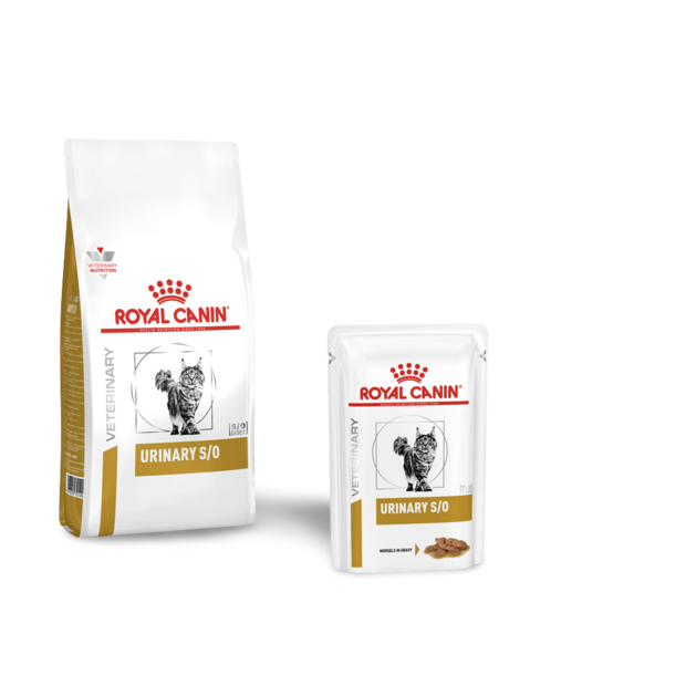 Urinary So Cat Food Feeding Guide Cat Meme Stock Pictures And Photos