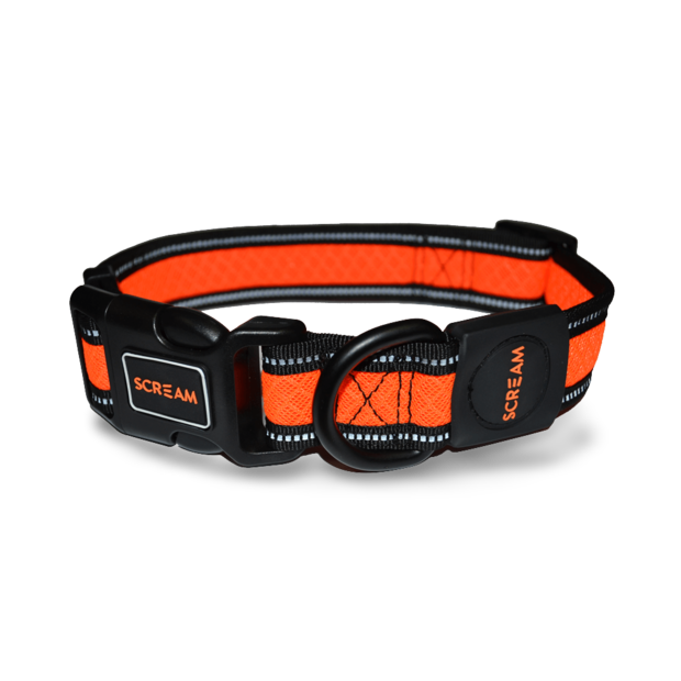 Buy Scream Reflective Adjustable Collar Orange Online | Better Prices ...