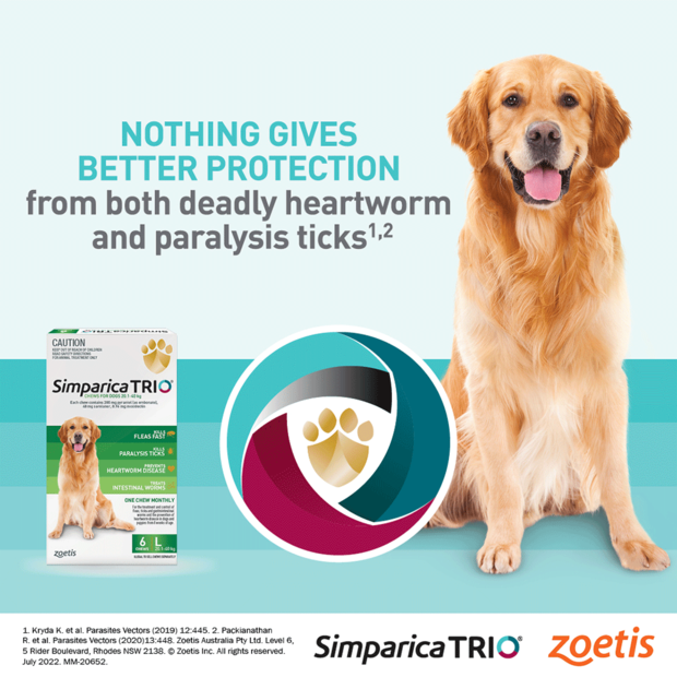 Buy Simparica Trio Large Online | Better Prices At Pet Circle