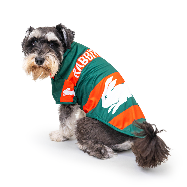 Buy The Stubby Club Nrl South Sydney Rabbitohs Pet Jersey Online | Better Prices At Pet Circle