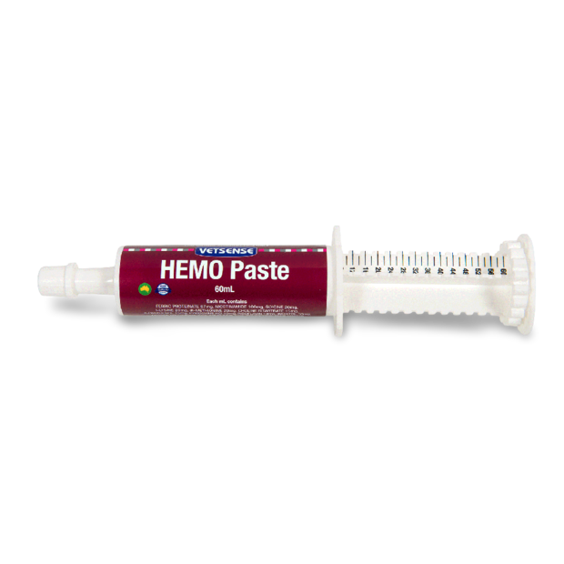 Buy Vetsense Hemo Paste Online | Better Prices At Pet Circle