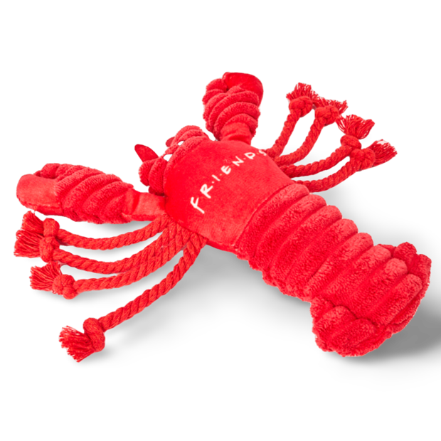 Buy Warner Bros Friends Lobster Plush Dog Toy Online | Better Prices At ...