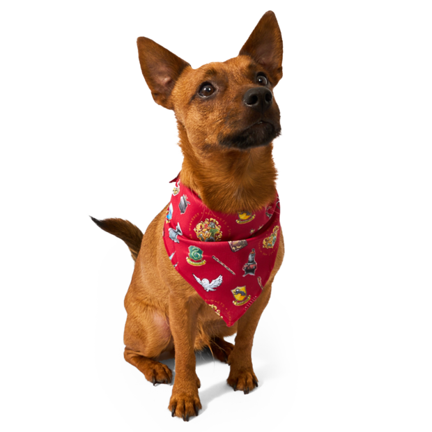 Buy Warner Bros Harry Potter Dog Bandana Online | Better Prices At Pet ...