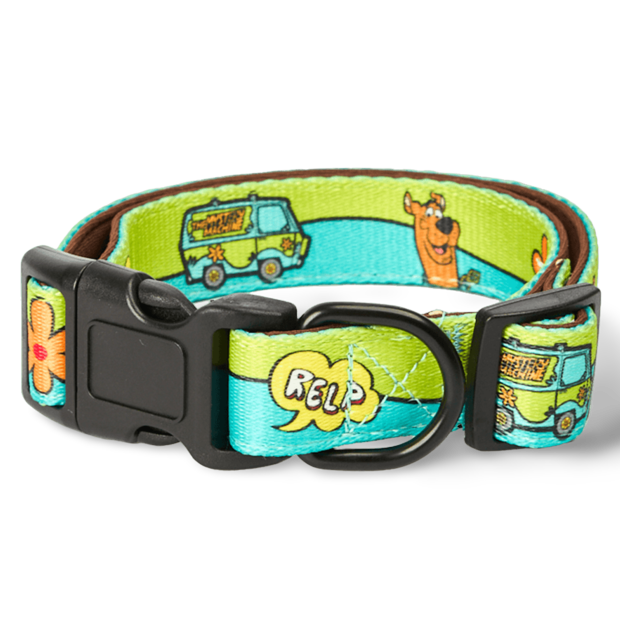 Buy Warner Bros Scooby Doo Dog Collar Online | Better Prices At Pet Circle