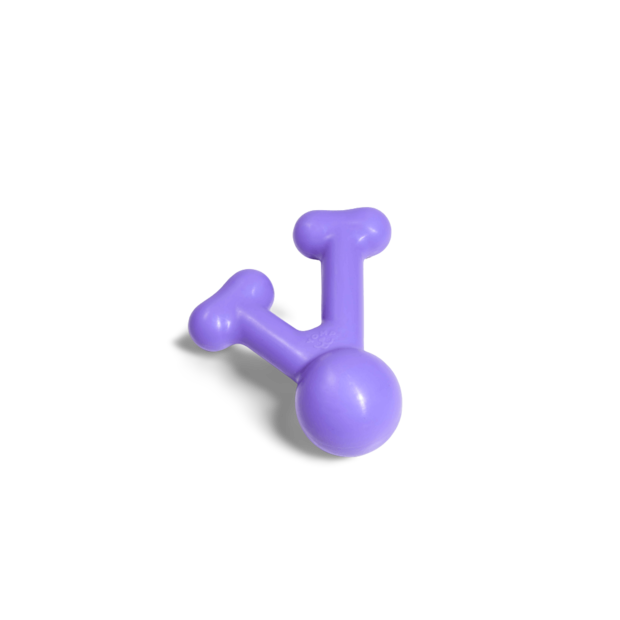 Buy Yomp Funny Bone Dog Chew Toy Online | Better Prices At Pet Circle
