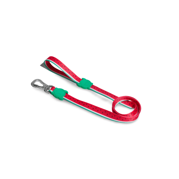 Buy Zee Dog Leash Lola Online | Better Prices At Pet Circle