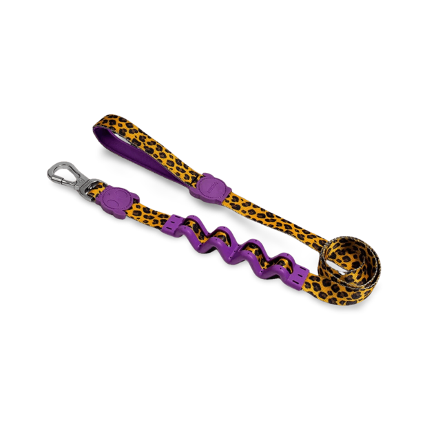 Buy Zee Dog Ruff Leash Honey Online | Better Prices At Pet Circle