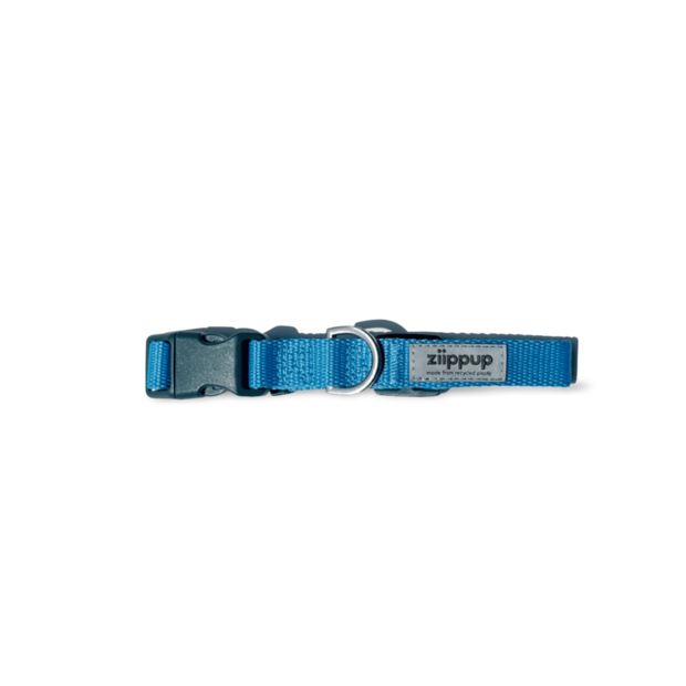 Buy Ziippup Blue Dog Collar Online | Better Prices At Pet Circle