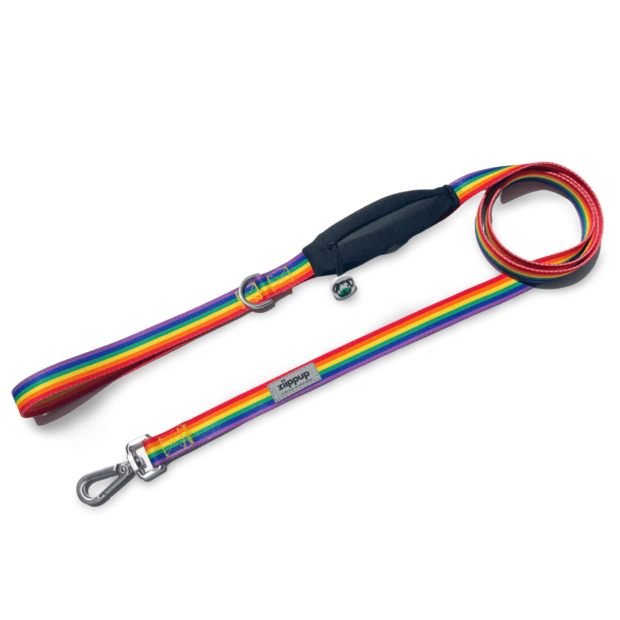 Buy Ziippup Rainbow Dog Lead With Poo Bag Holder Online | Better Prices ...