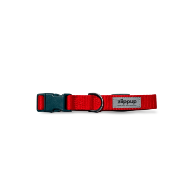 Buy Ziippup Red Dog Collar Online | Better Prices At Pet Circle