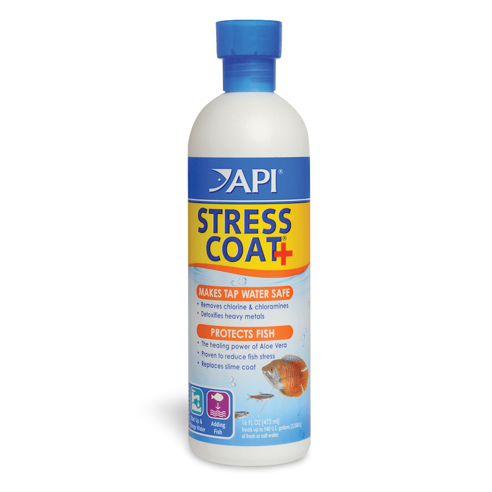 Buy Api Stress Coat Aquarium Water Conditioner Online | Better Prices ...