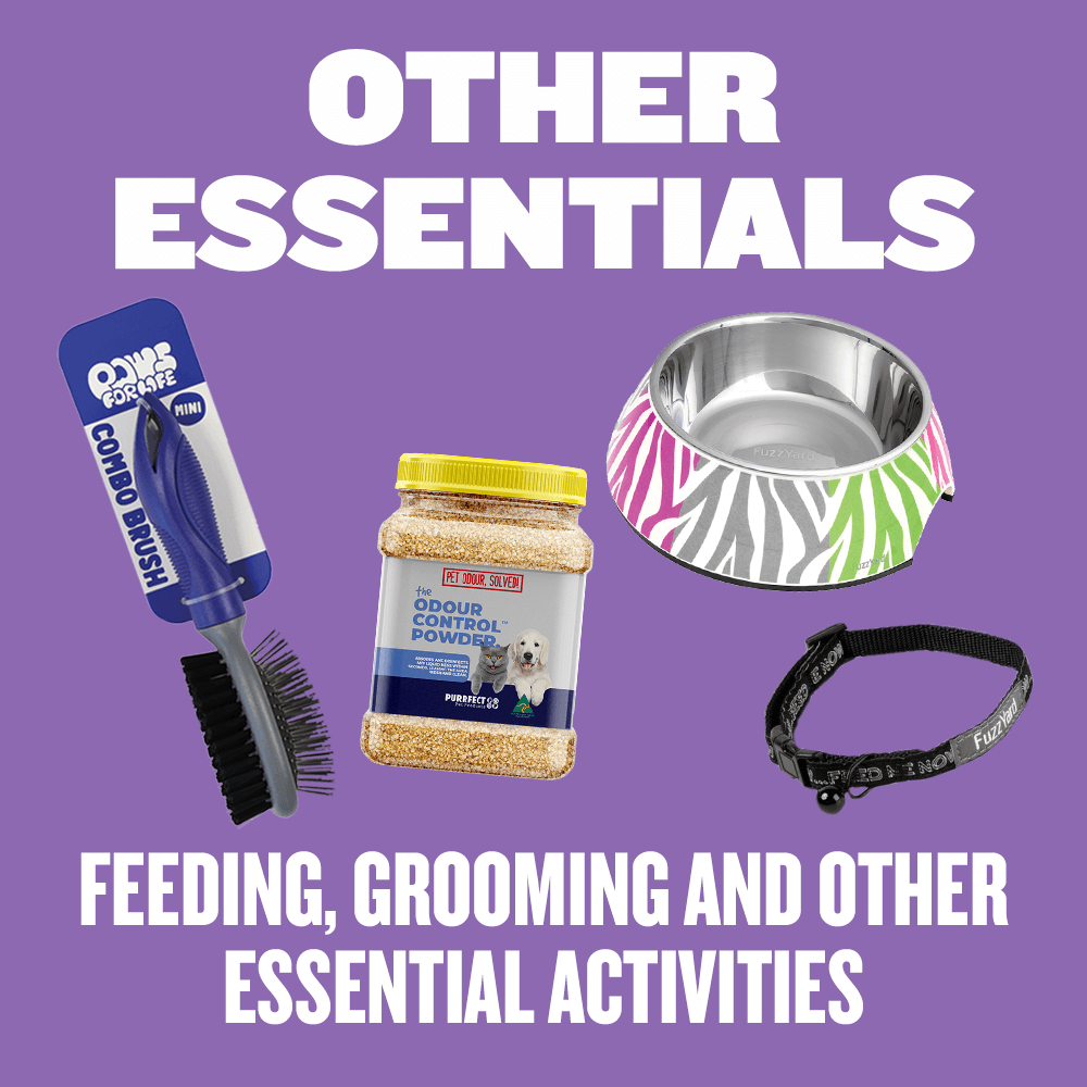 New Kitten Essentials Kit: Better Kitten Bundle