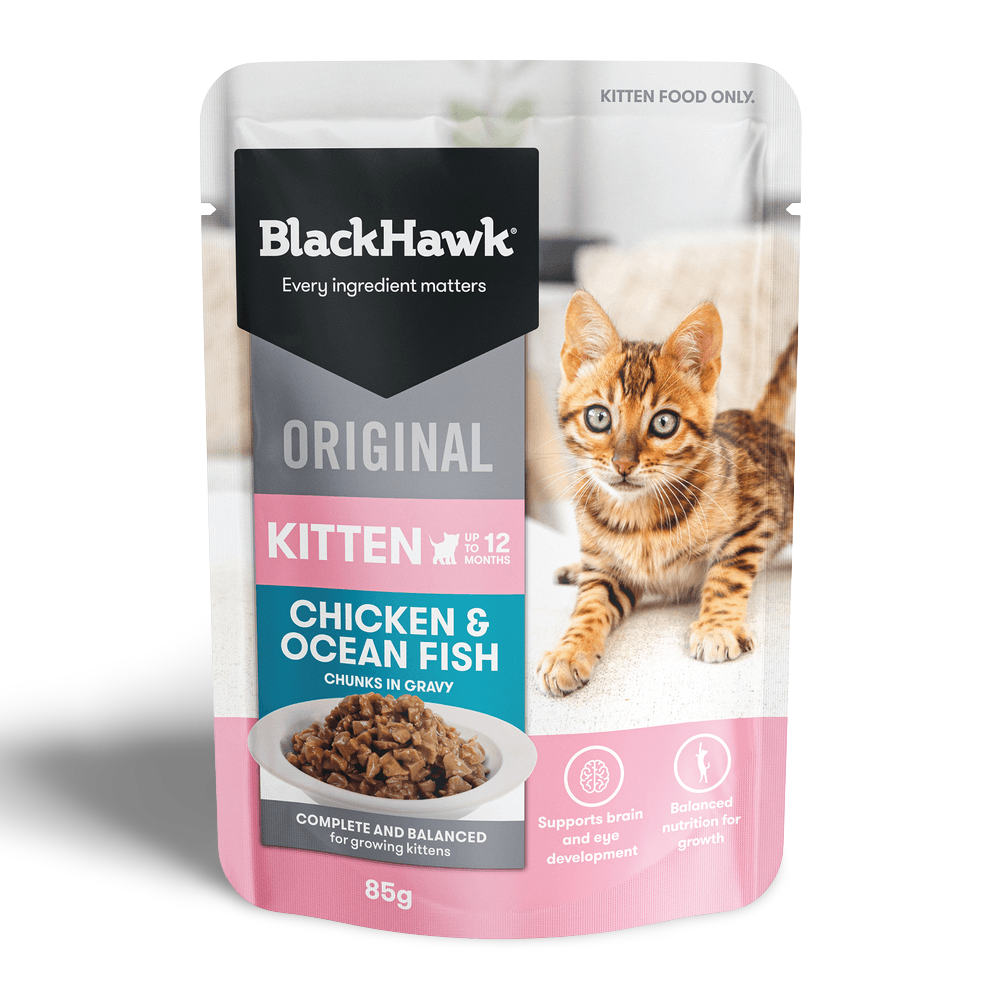 black hawk product updates | Pet Better with Pet Circle