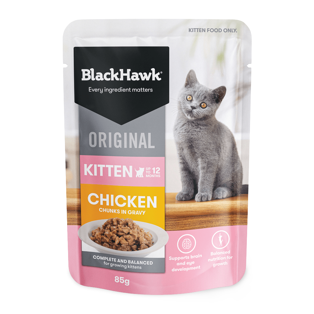 black hawk product updates | Pet Better with Pet Circle