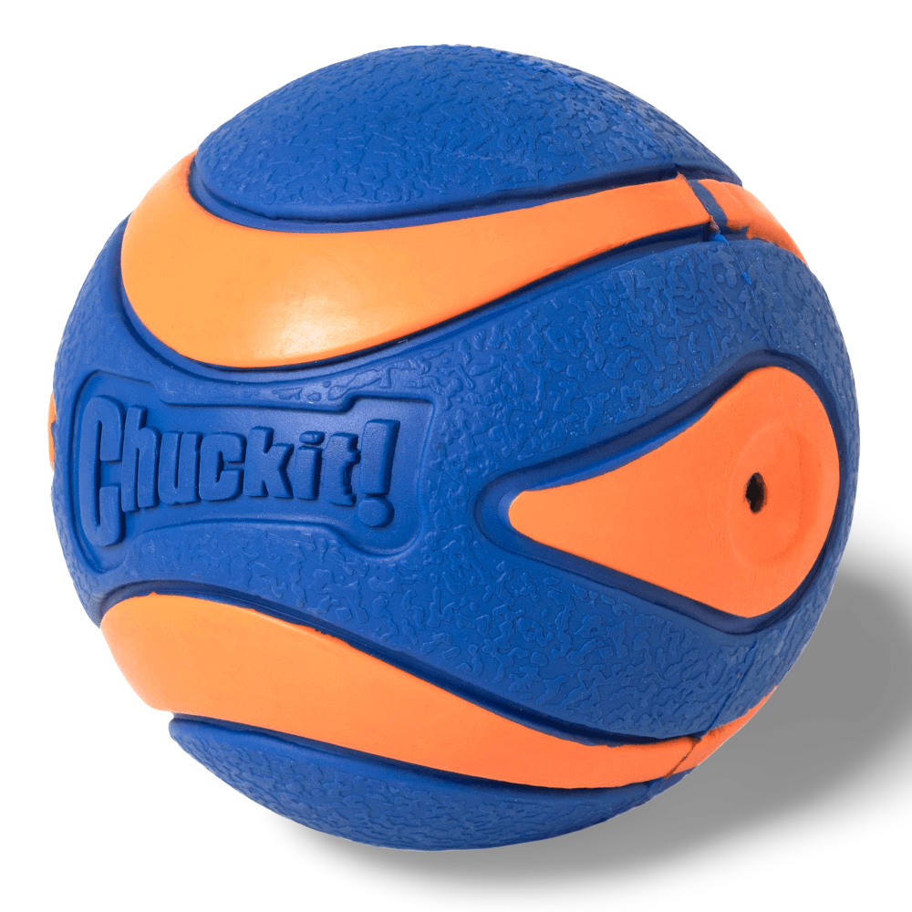 Buy Chuckit Ball Ultra Squeaker Online | Better Prices At Pet Circle