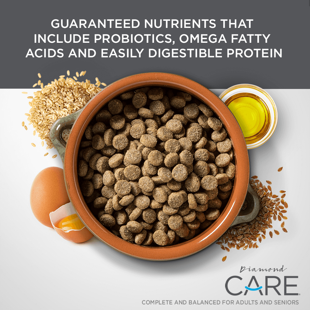 Top 10 Pet Food Rx Products: A Comprehensive Review to Keep Your Furry Friend Happy and Healthy ...