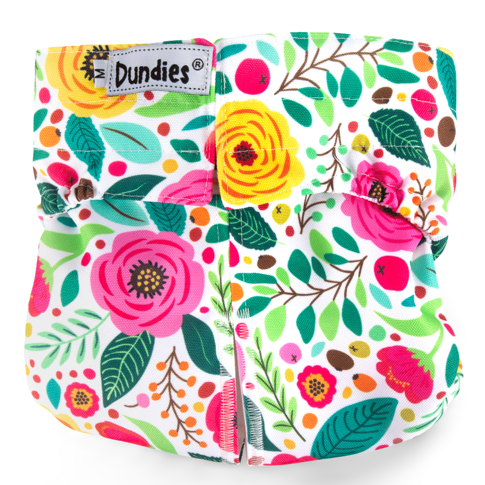 dog pootorial for more good poo days | Pet Better with Pet Circle