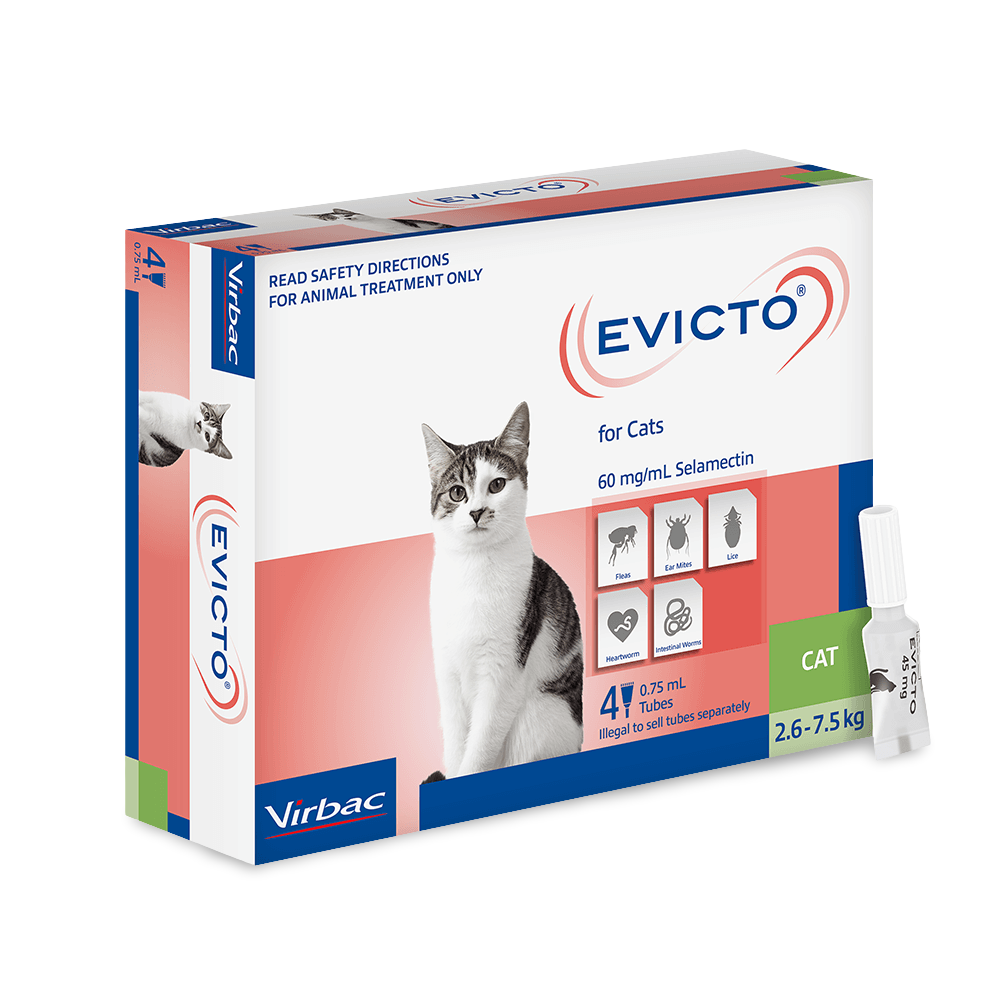 Buy Evicto For Cats Online | Better Prices At Pet Circle