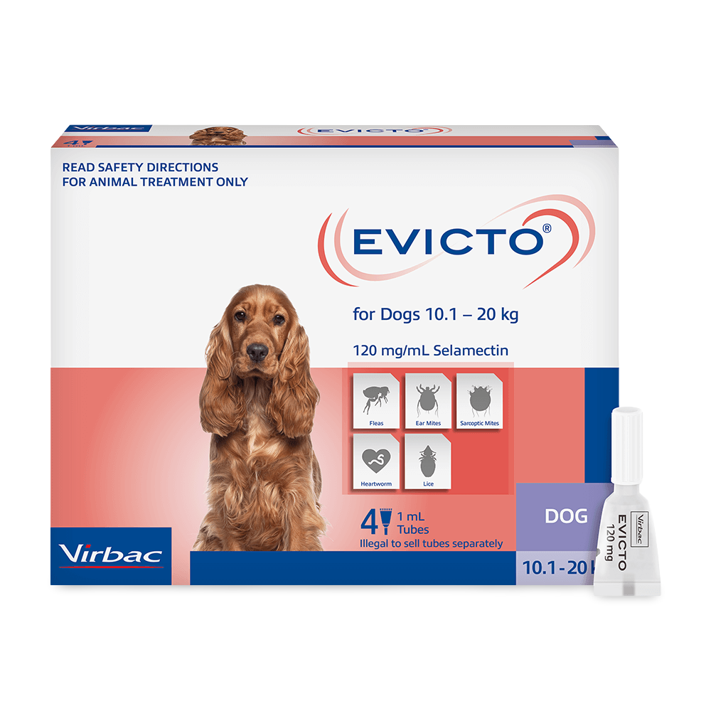 Flea and Worming Out of Stock Alternatives | Pet Better with Pet Circle