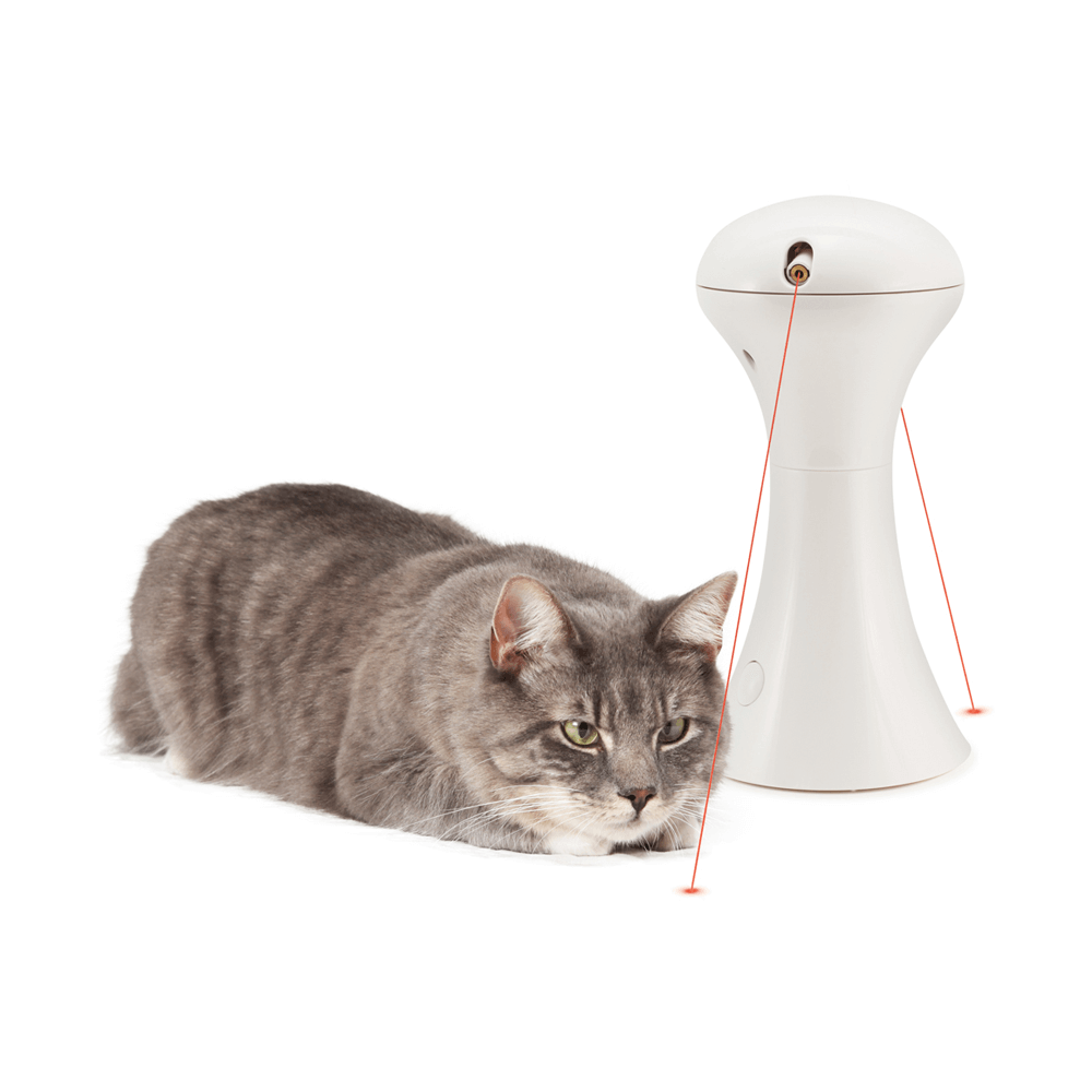 Buy Frolicat Multi Laser Online | Low Prices, Free Shipping