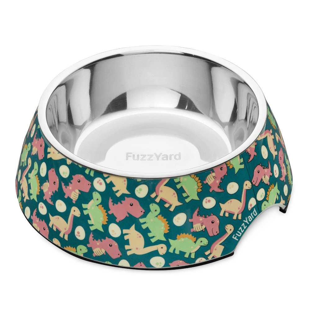 Buy Fuzzyard Bowl Dinosaur Land Online | Better Prices At Pet Circle