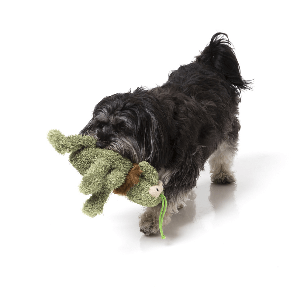 Buy Fuzzyard Plush Toy Scratchy Green Online | Better Prices At Pet Circle