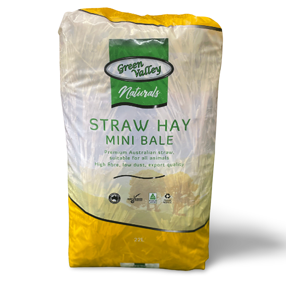 Buy Green Valley Naturals Straw Hay Mini Bale For Small Pets Online ...